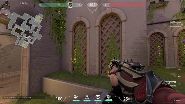 Valorant Guide: A site from tree - Valorant Guides, Strategy and Tips ...